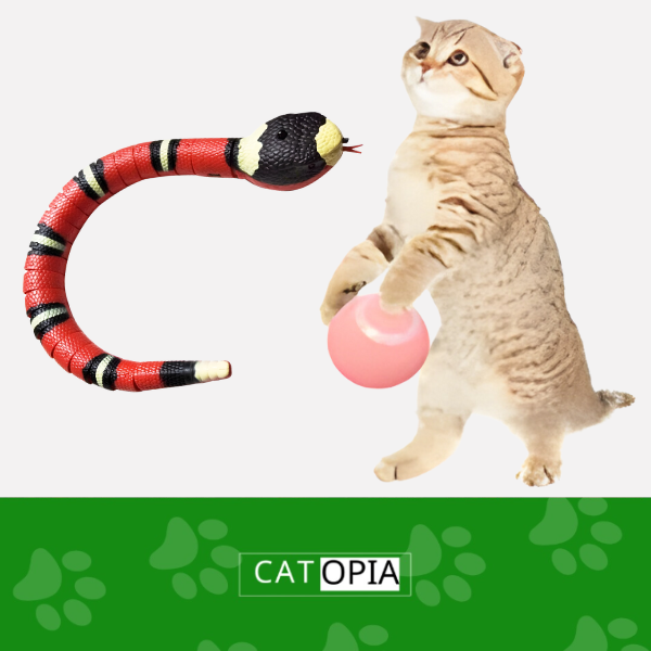 דף הבית – קטופיה ישראל | מזון וציוד לחתולים Catopia